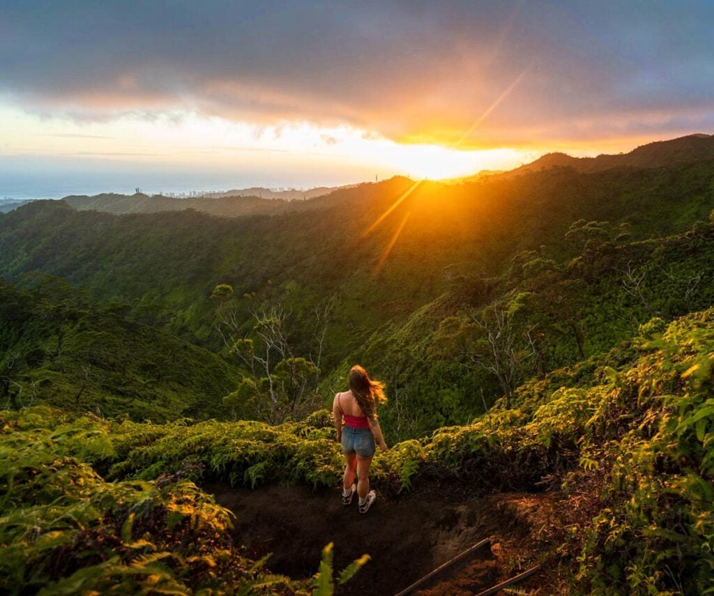 Deck the Halls at the Beach on Christmas: 16 Sunny Places for Your ...