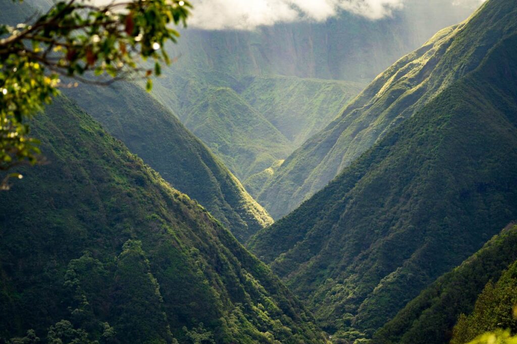 Best Hikes in Maui: 8 Trails to Add to Your Hawaii Bucket List ...
