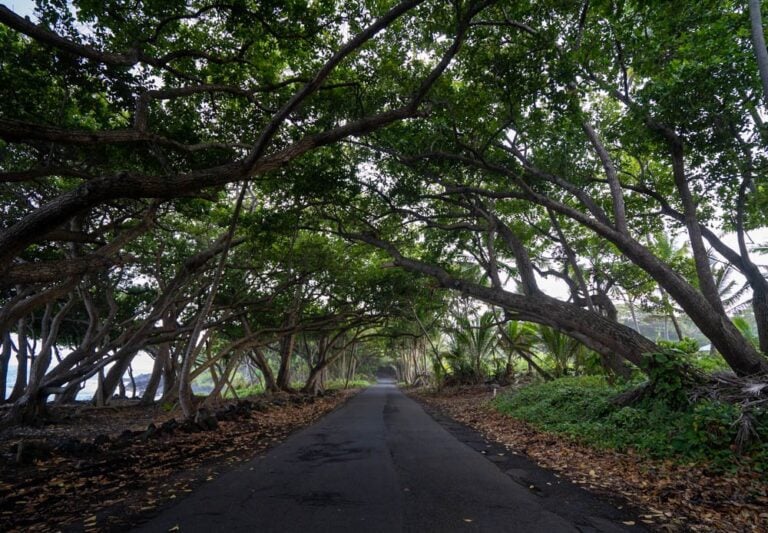 Pohoiki Hot Springs: The Only Hot Springs on the Big Island of Hawaii ...