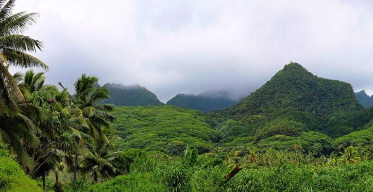 Deck the Halls at the Beach on Christmas: 16 Sunny Places for Your ...