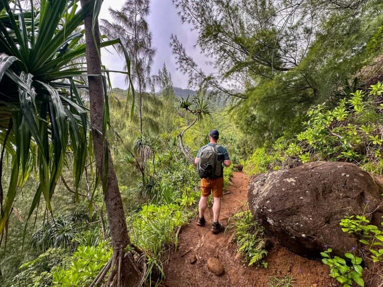 Hanakapi'ai Falls Trail: Everything You Need to Know - Uprooted Traveler