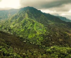 Okolehao Trail: The Best Hike in Kauai for Jaw-dropping Views of ...