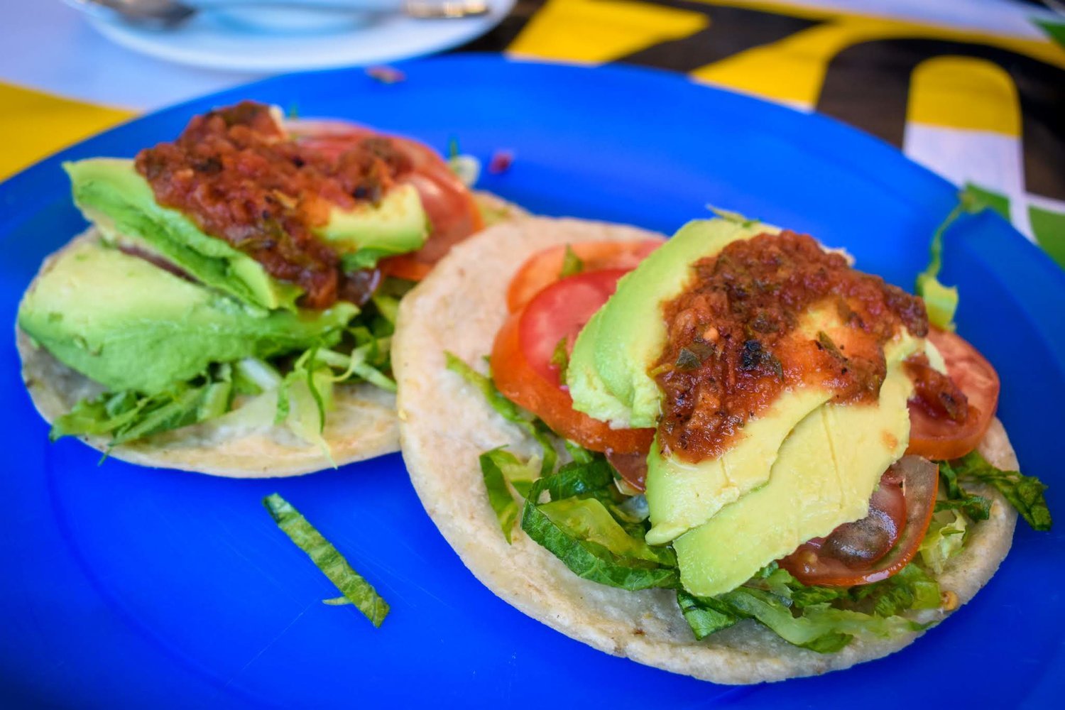 Vegan Guide to Tulum, Mexico - Uprooted Traveler