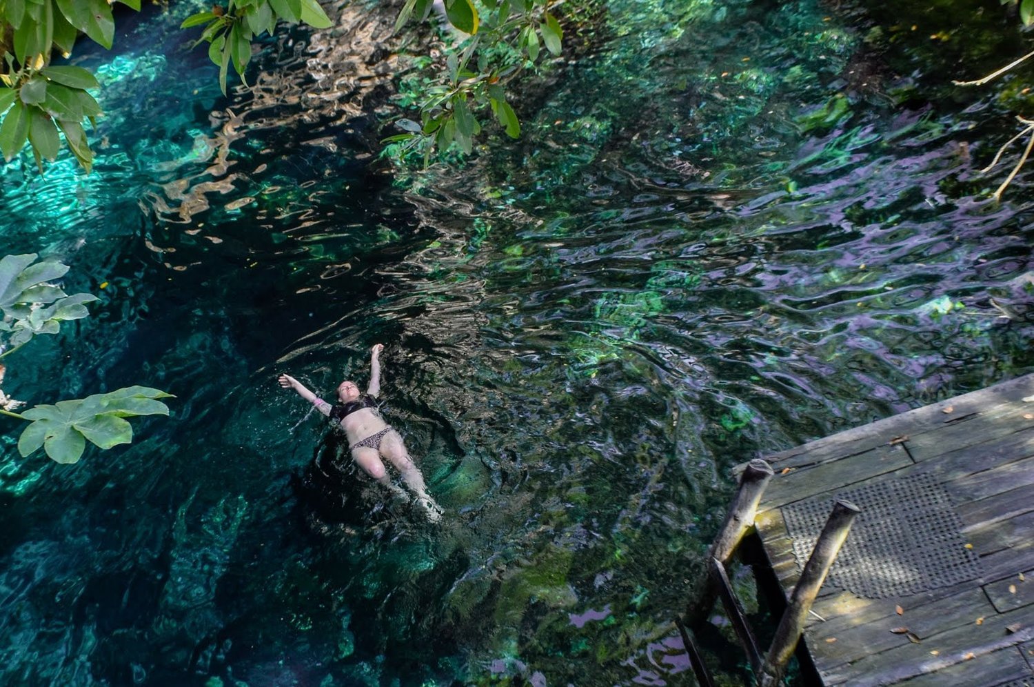 Vegan Guide to Tulum, Mexico - Uprooted Traveler