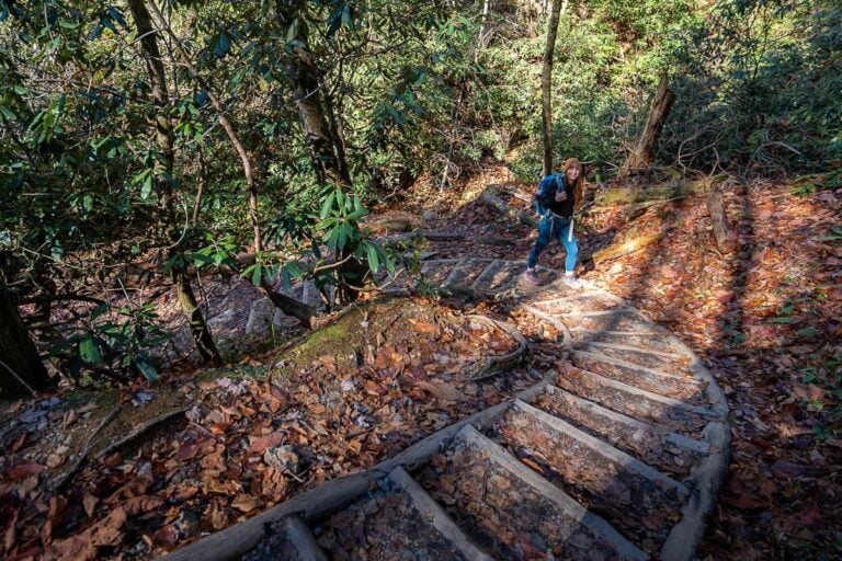 Abrams Falls Trail: The Best Waterfall Hike in Great Smoky Mountains ...