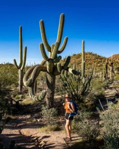 Arizona in the Winter: 10 Amazing Places to Explore - Uprooted Traveler