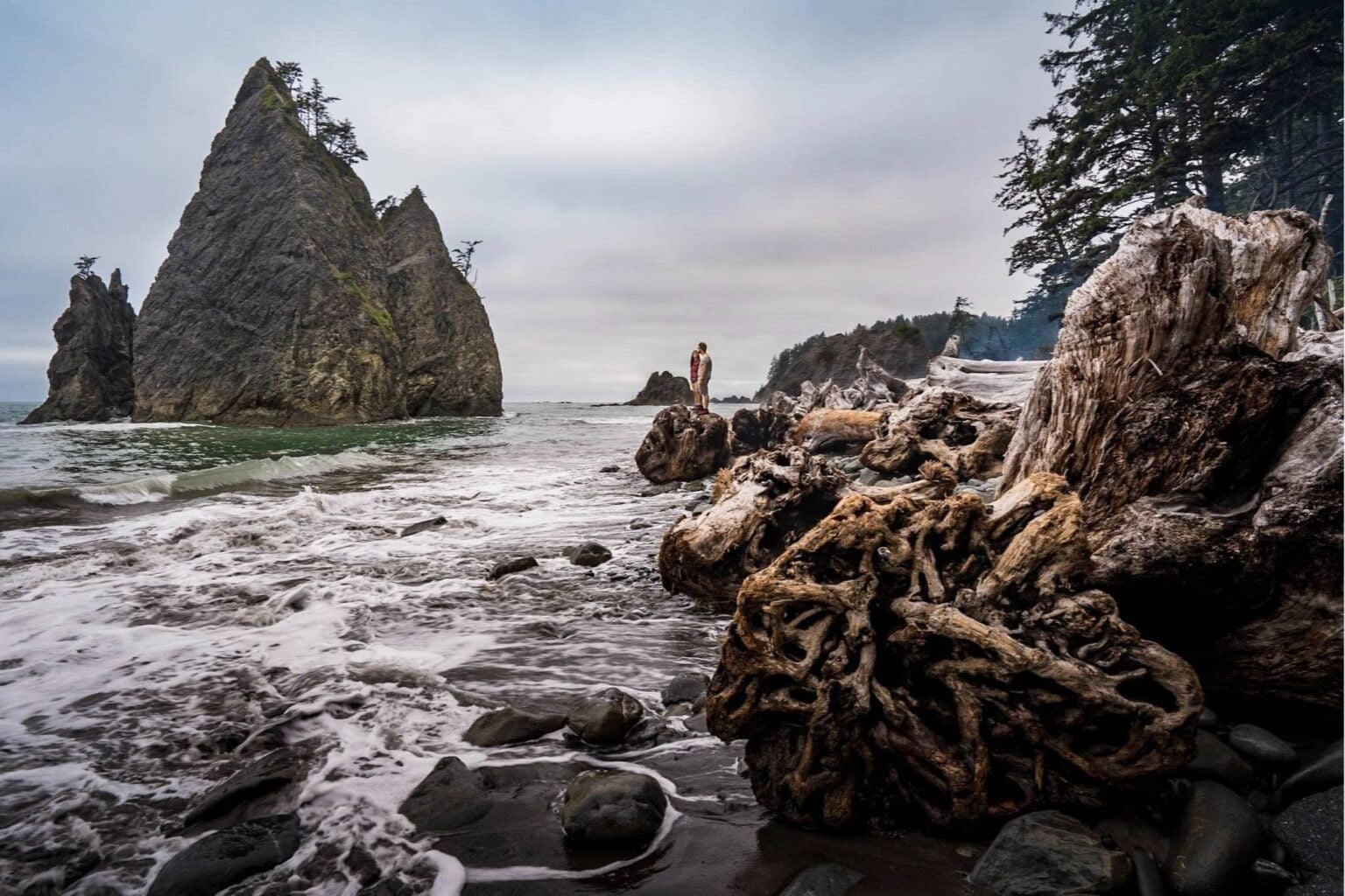 8 Best Hikes in Olympic National Park (the ONLY with Temperate ...