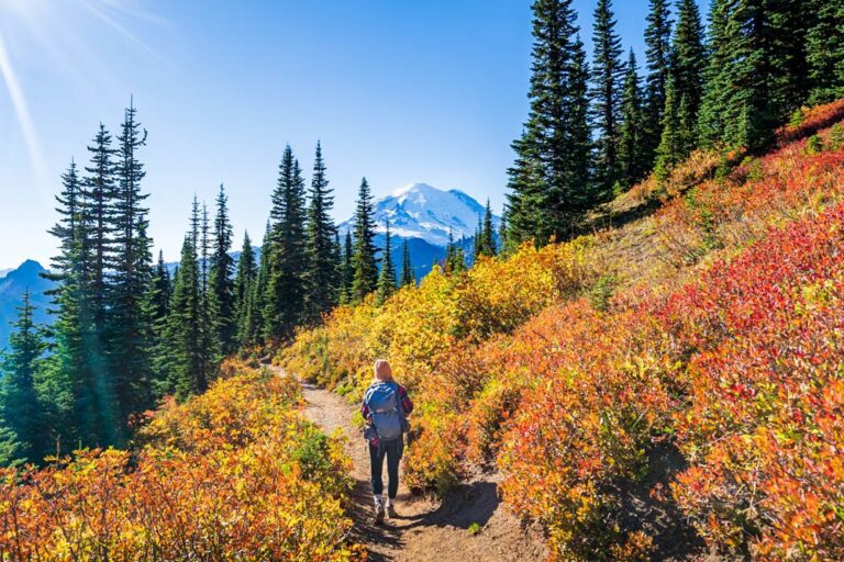 11 Best National Parks to Visit in October to Add to Your Fall Bucket ...