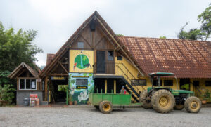 Blue Falls of Costa Rica: Central America's Best Hidden Gem - Uprooted ...