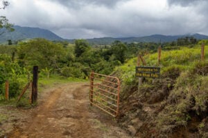 Blue Falls of Costa Rica: Central America's Best Hidden Gem - Uprooted ...