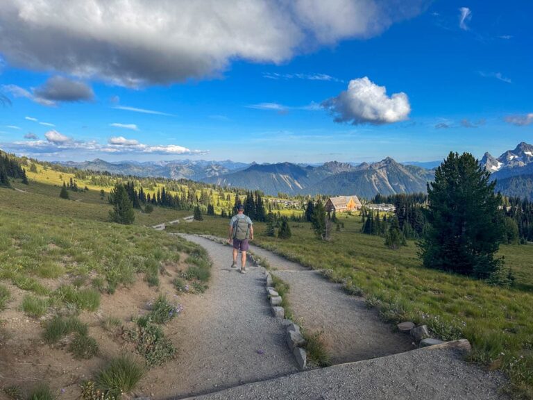 Burroughs Mountain Trail: Mount Rainier National Park's Best Hidden Gem ...