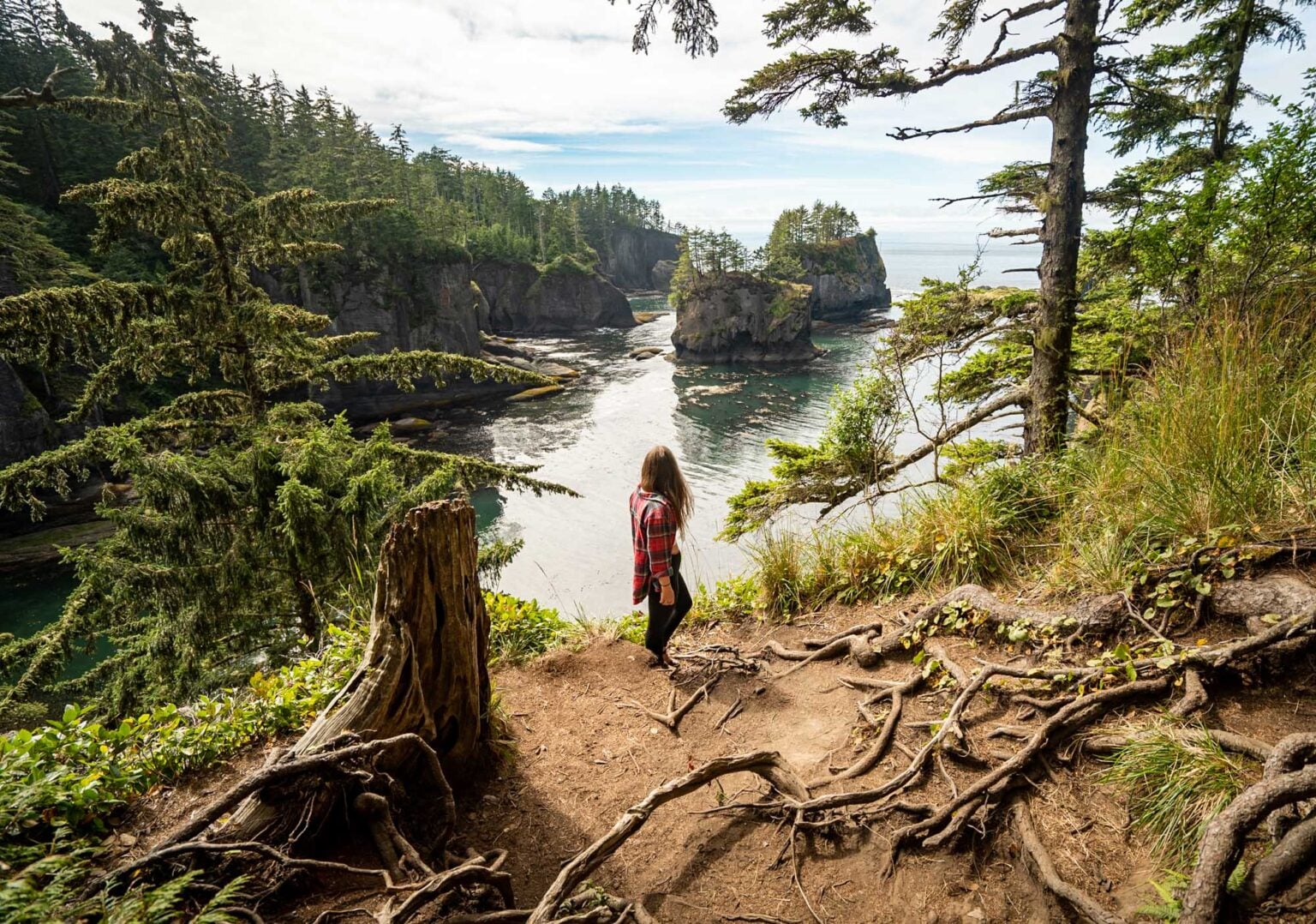 Cape Flattery Trail: One of Washington's Most Bucket List-Worthy Hikes ...