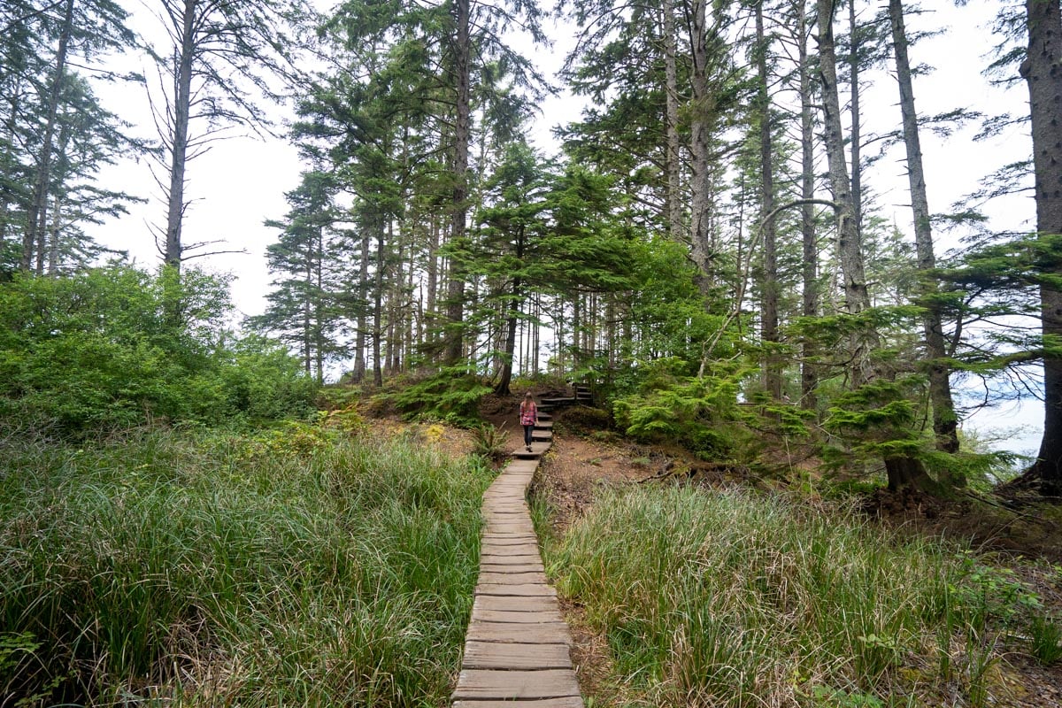 Cape Flattery Trail: One of Washington's Most Bucket List-Worthy Hikes ...