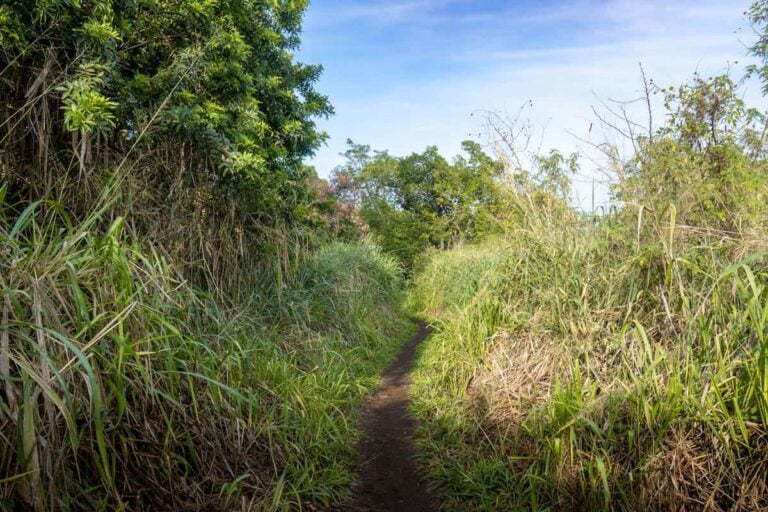 Captain Cook Monument Trail: Everything You Need to Know - Uprooted ...