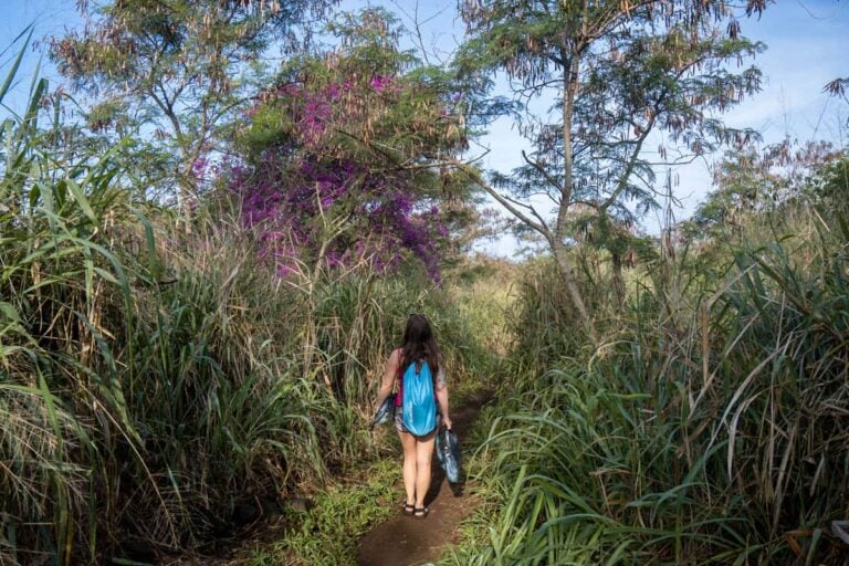 Captain Cook Monument Trail: Everything You Need to Know - Uprooted ...