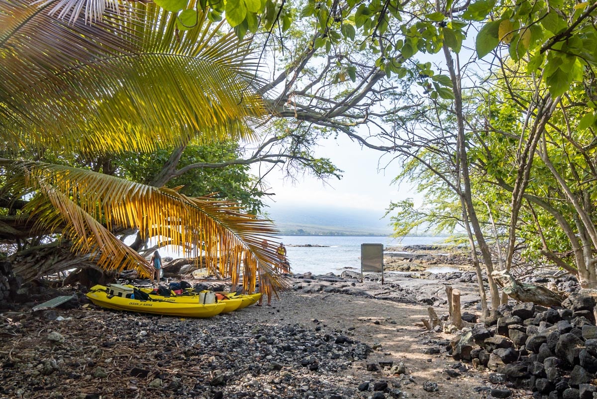 Snorkeling at Captain Cook: Everything You Need to Know About The Best ...