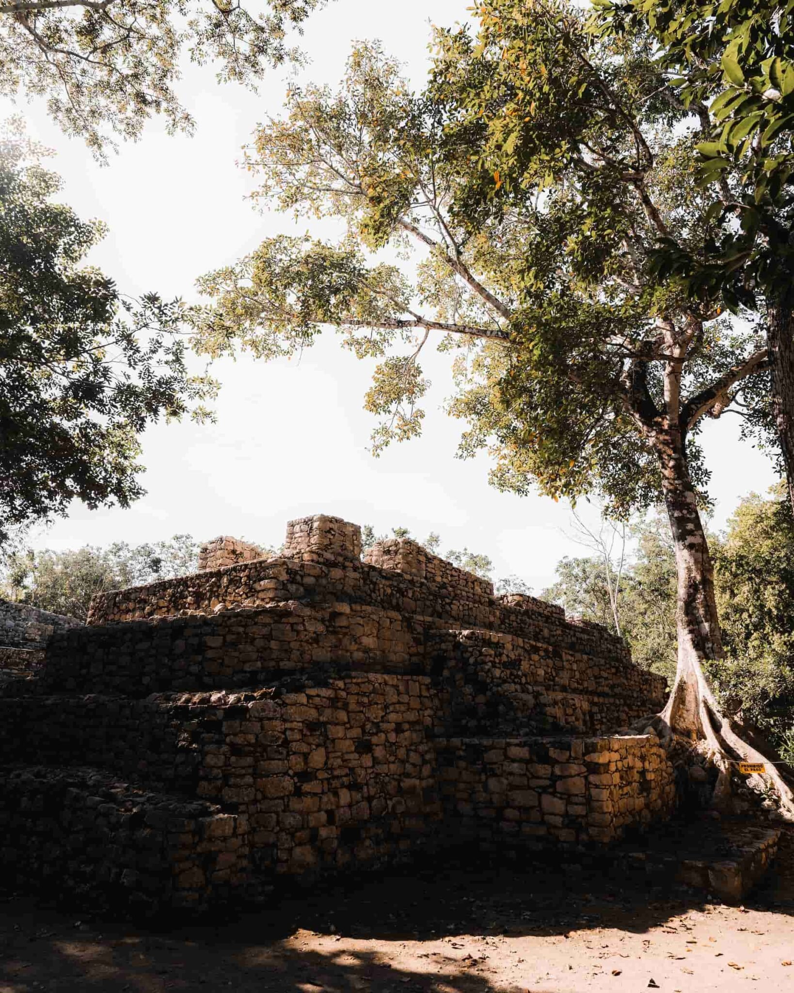 Visiting the Coba Ruins in 2025: Everything You Need to Know - Uprooted ...