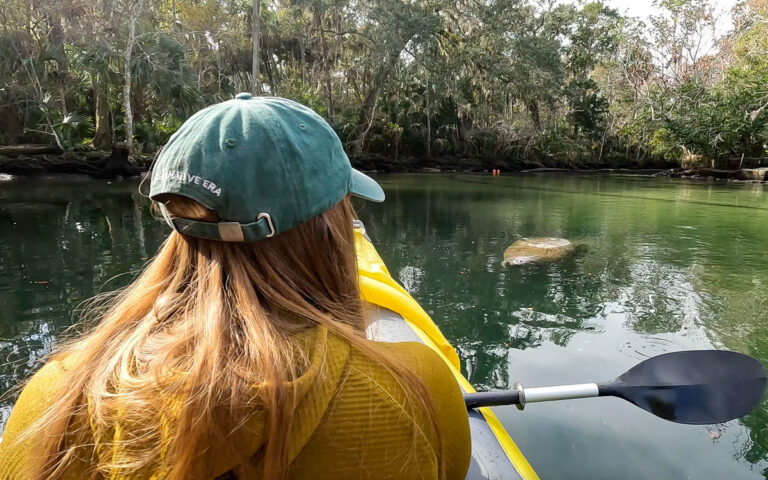 10 Awesome Crystal River Manatee Tours - Uprooted Traveler