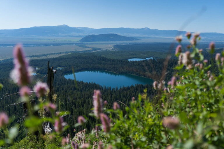 How to Hike Delta Lake in Grand Teton National Park - Uprooted Traveler