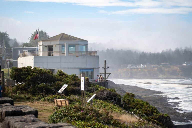 Depoe Bay Whale Watching: Everything You Need to Know About the Whale ...