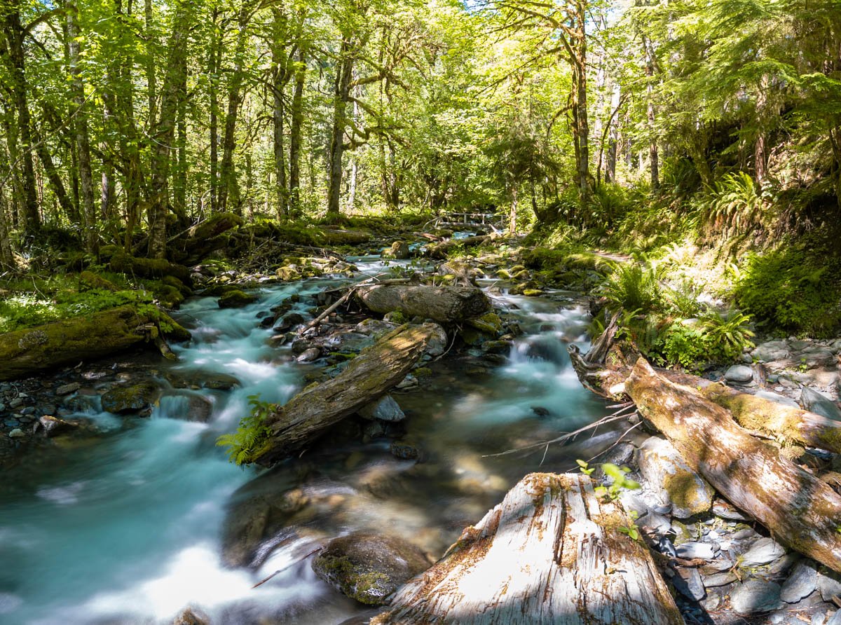 Enchanted Valley: Olympic National Park's Most Epic Backpacking Trip ...