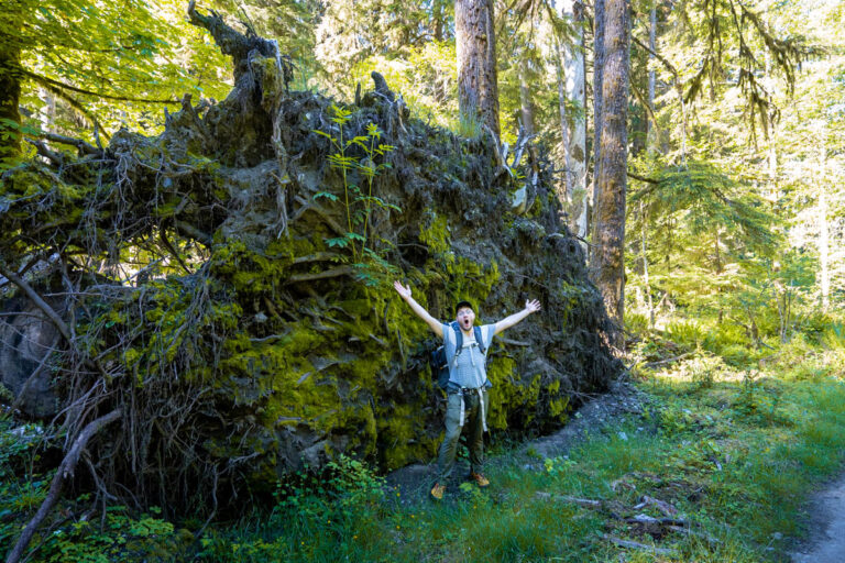 Enchanted Valley: Olympic National Park's Most Epic Backpacking Trip ...