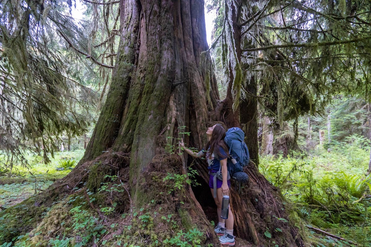 Enchanted Valley: Olympic National Park's Most Epic Backpacking Trip ...