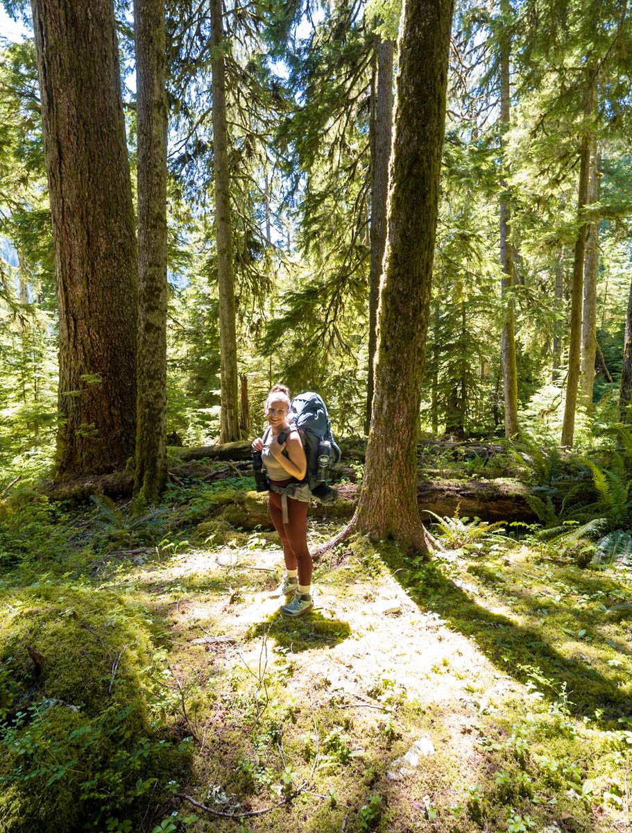 Enchanted Valley: Olympic National Park's Most Epic Backpacking Trip ...