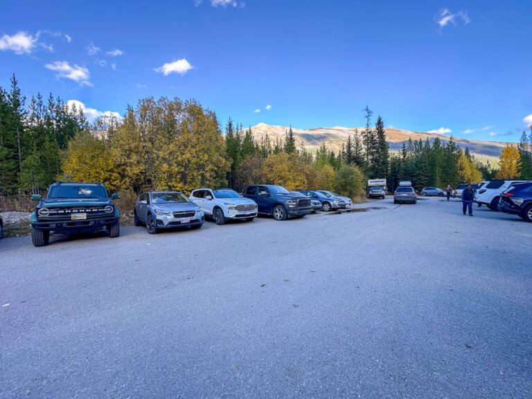 Floe Lake Trail in Kootenay National Park: Everything You Need to Know ...