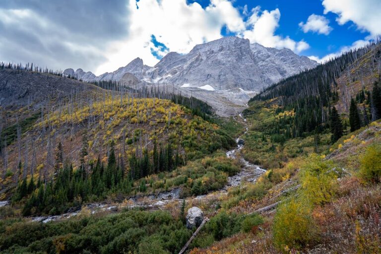 Floe Lake Trail in Kootenay National Park: Everything You Need to Know ...