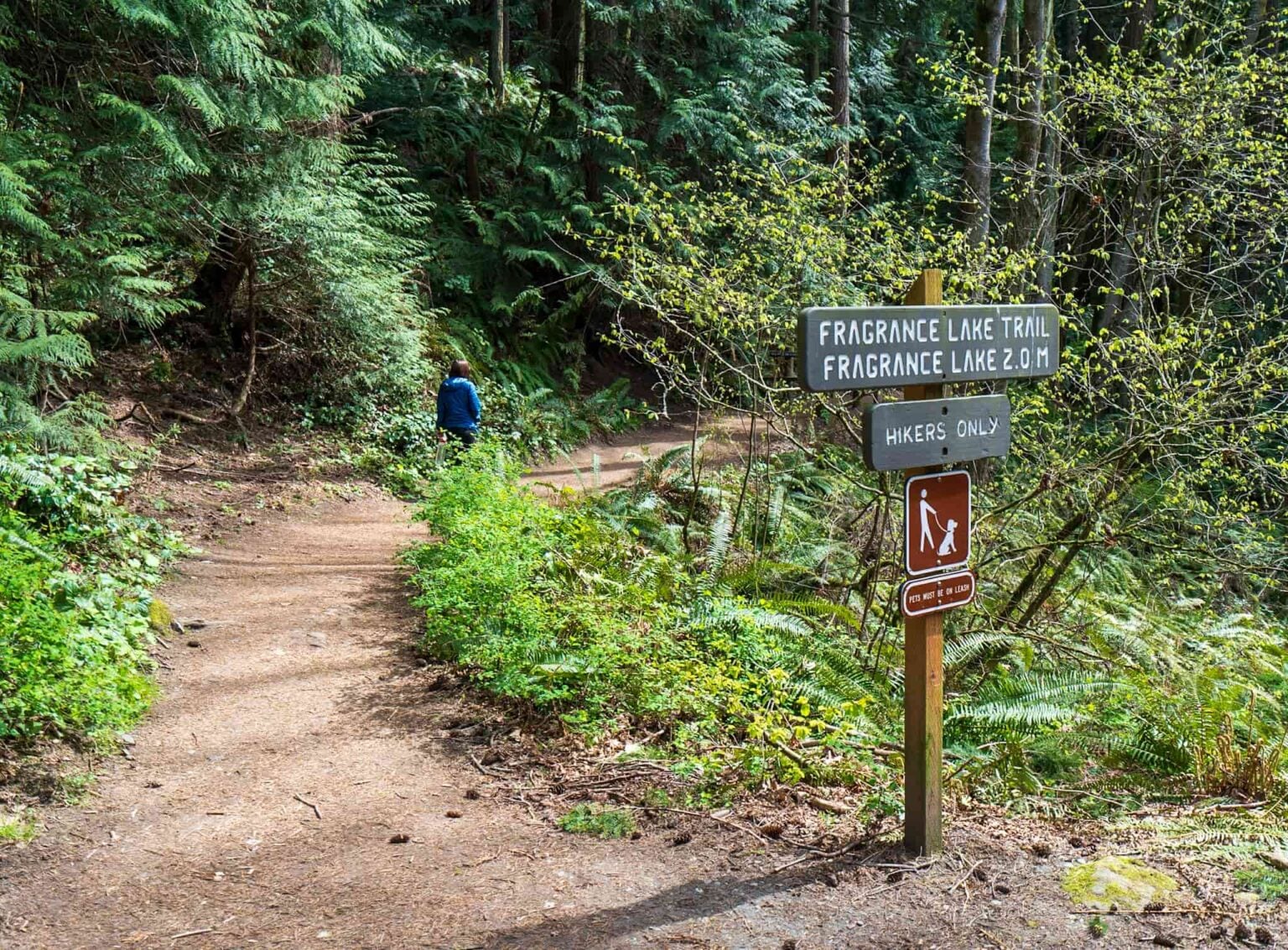 Fragrance Lake Trail: Everything You Need to Know - Uprooted Traveler