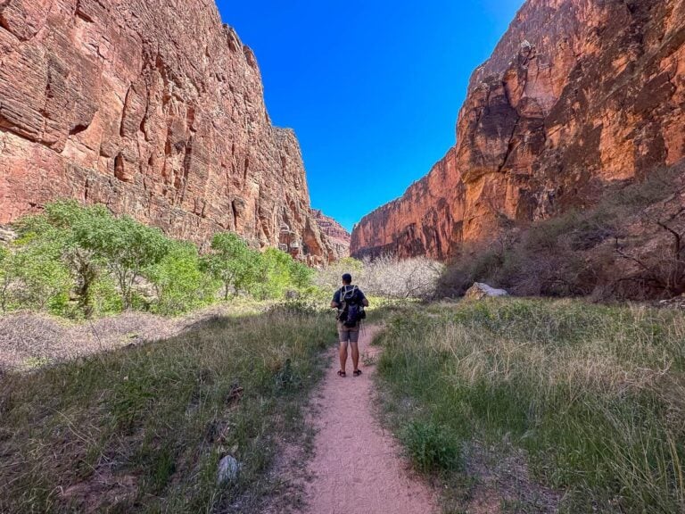Havasu Falls Hike: Everything You Need to Know - Uprooted Traveler