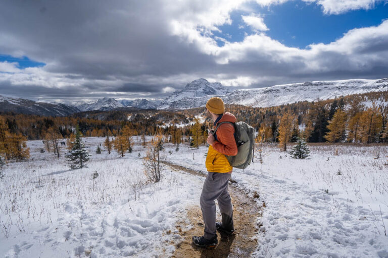 Healy Pass Trail: The Best Larch Hike in Banff National Park - Uprooted ...