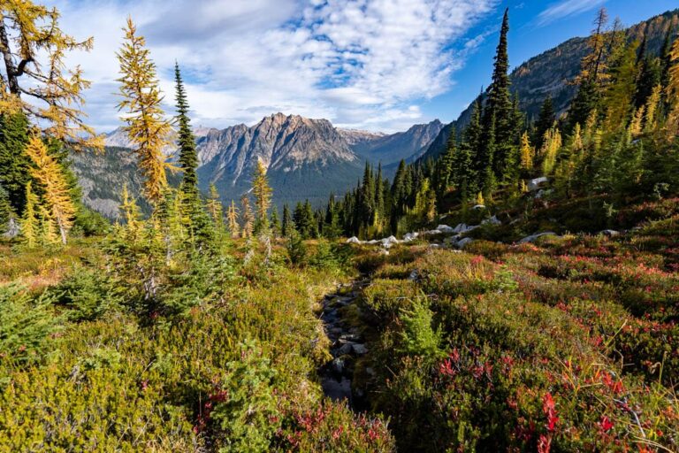 Heather Maple Pass Loop: Washington State’s Most Colorful Hike ...