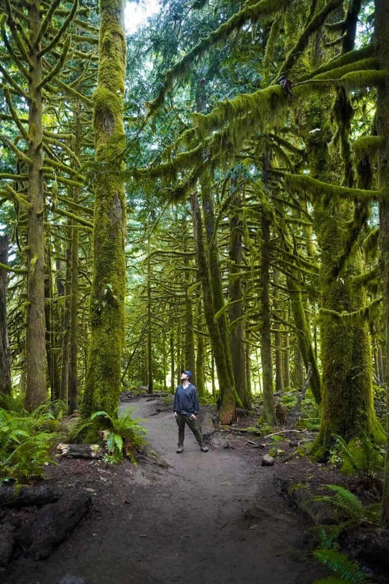 Heybrook Lookout: One of the Closest Fire Lookout Hikes to Seattle ...