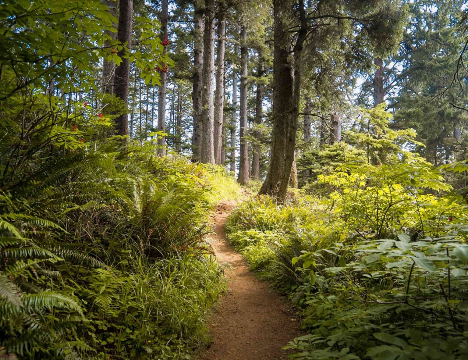 11 Incredible Hikes Near Cannon Beach along the Oregon Coast - Uprooted ...