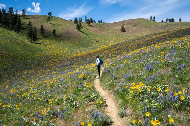 10 Hiking Safety Tips You NEED to Know Before Hitting the Trail ...
