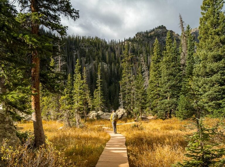 10 Hiking Safety Tips You NEED to Know Before Hitting the Trail ...