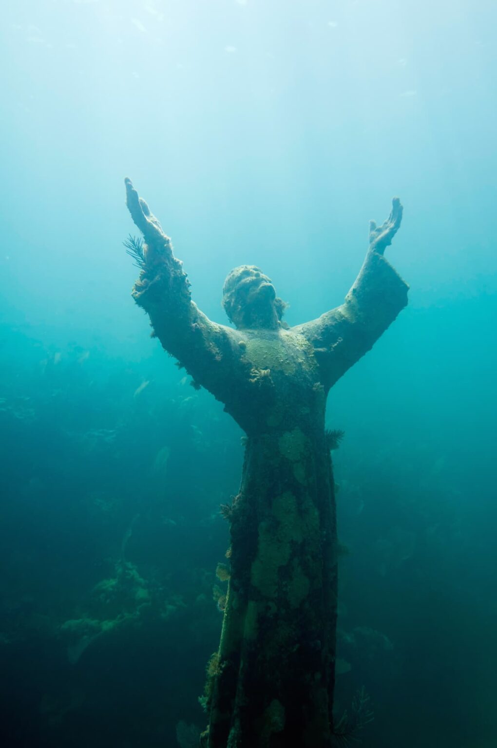Key Largo Scuba Diving: Everything You Need to Know - Uprooted Traveler