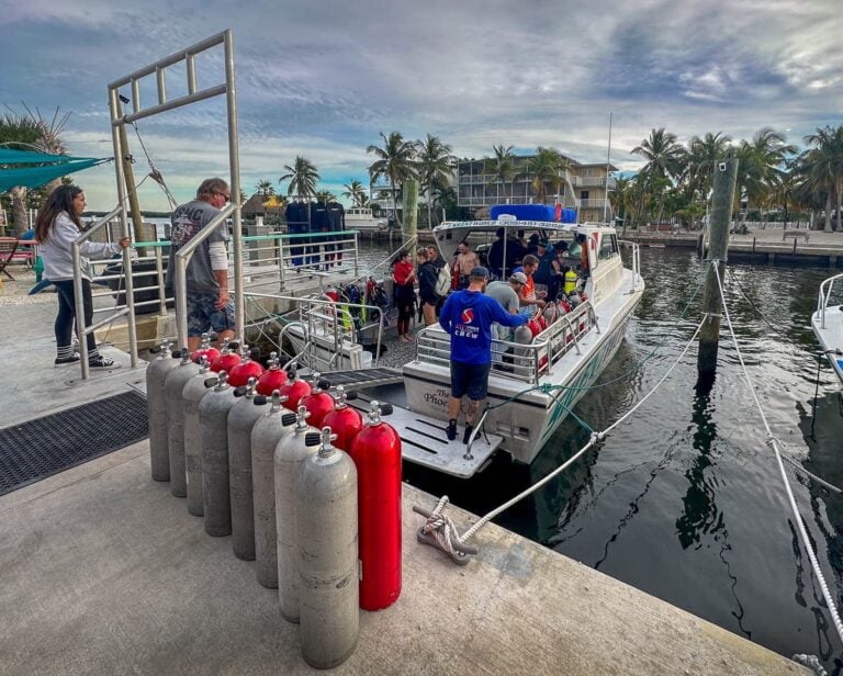Key Largo Scuba Diving: Everything You Need to Know - Uprooted Traveler