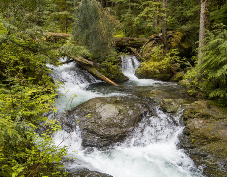 Lake 22 Trail: A Guide to This Classic Washington Hike - Uprooted Traveler