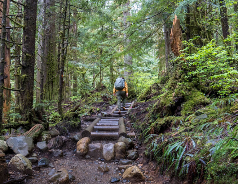 Lake 22 Trail: A Guide to This Classic Washington Hike - Uprooted Traveler
