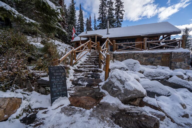 Lake Agnes Tea House Hike: Everything You Need to Know - Uprooted Traveler
