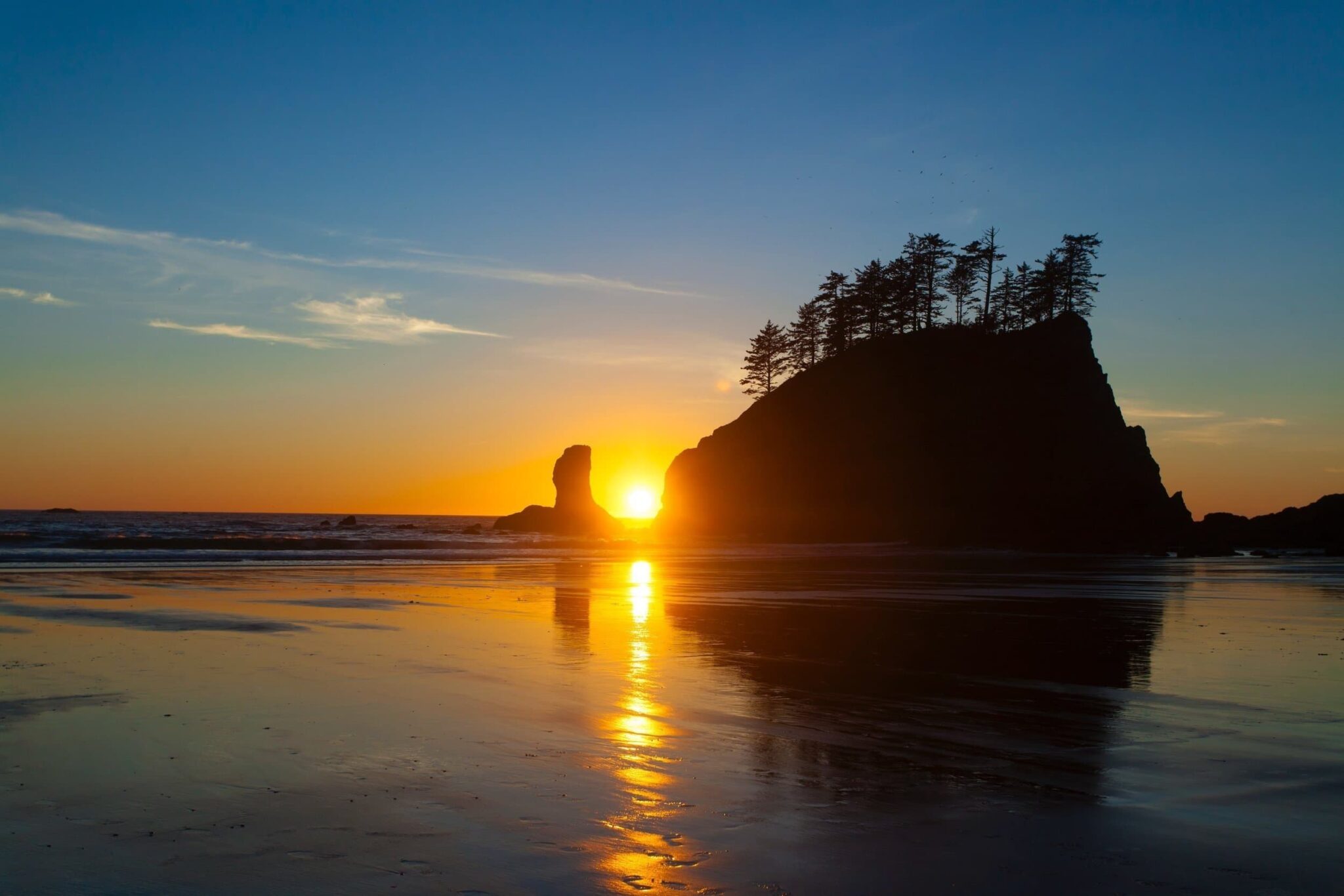 10 Stunning Olympic National Park Beaches to Add to Your Bucket List ...