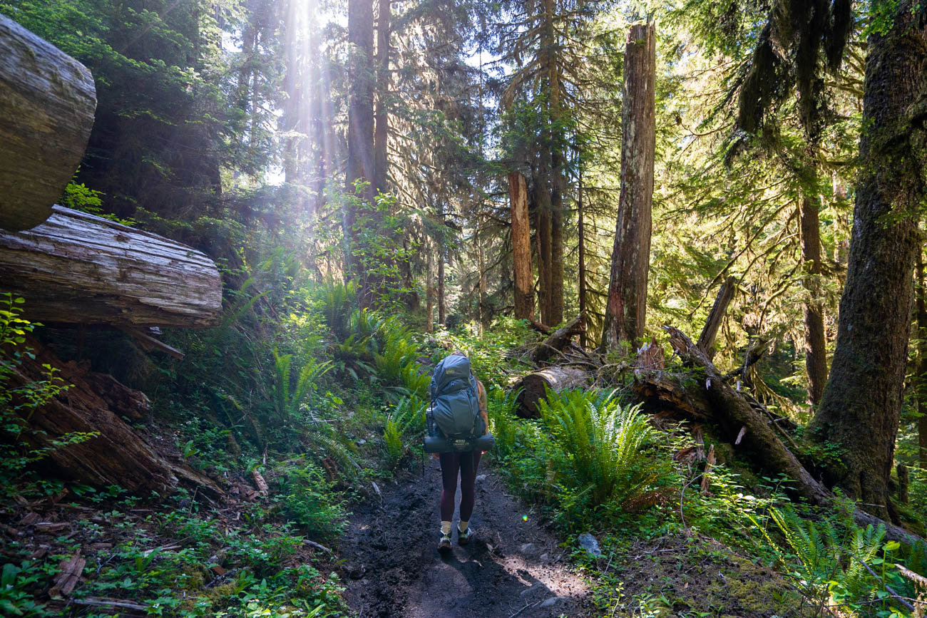 Enchanted Valley: Olympic National Park's Most Epic Backpacking Trip ...