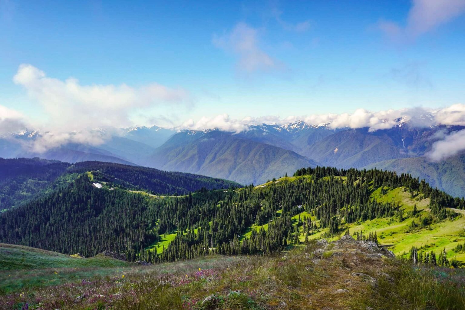 Olympic Peninsula Loop: 15 Stops along the Most Iconic Washington Road ...