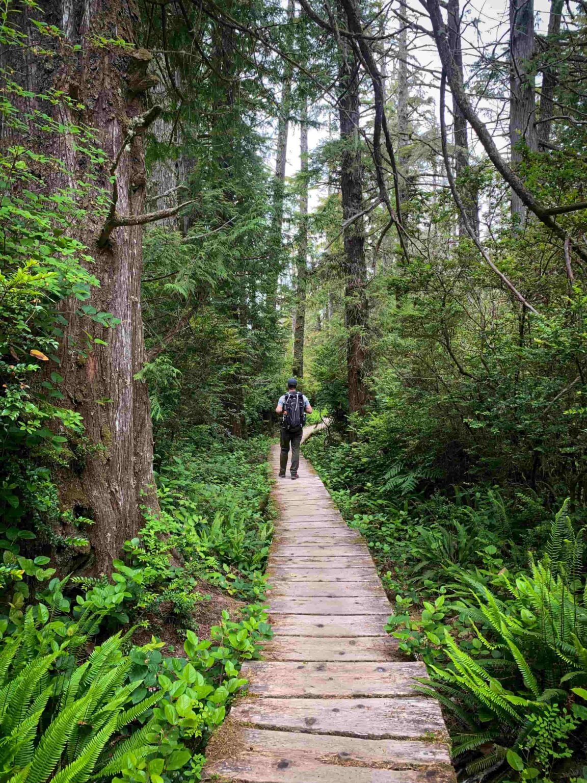 Olympic Peninsula Loop: 15 Stops along the Most Iconic Washington Road ...