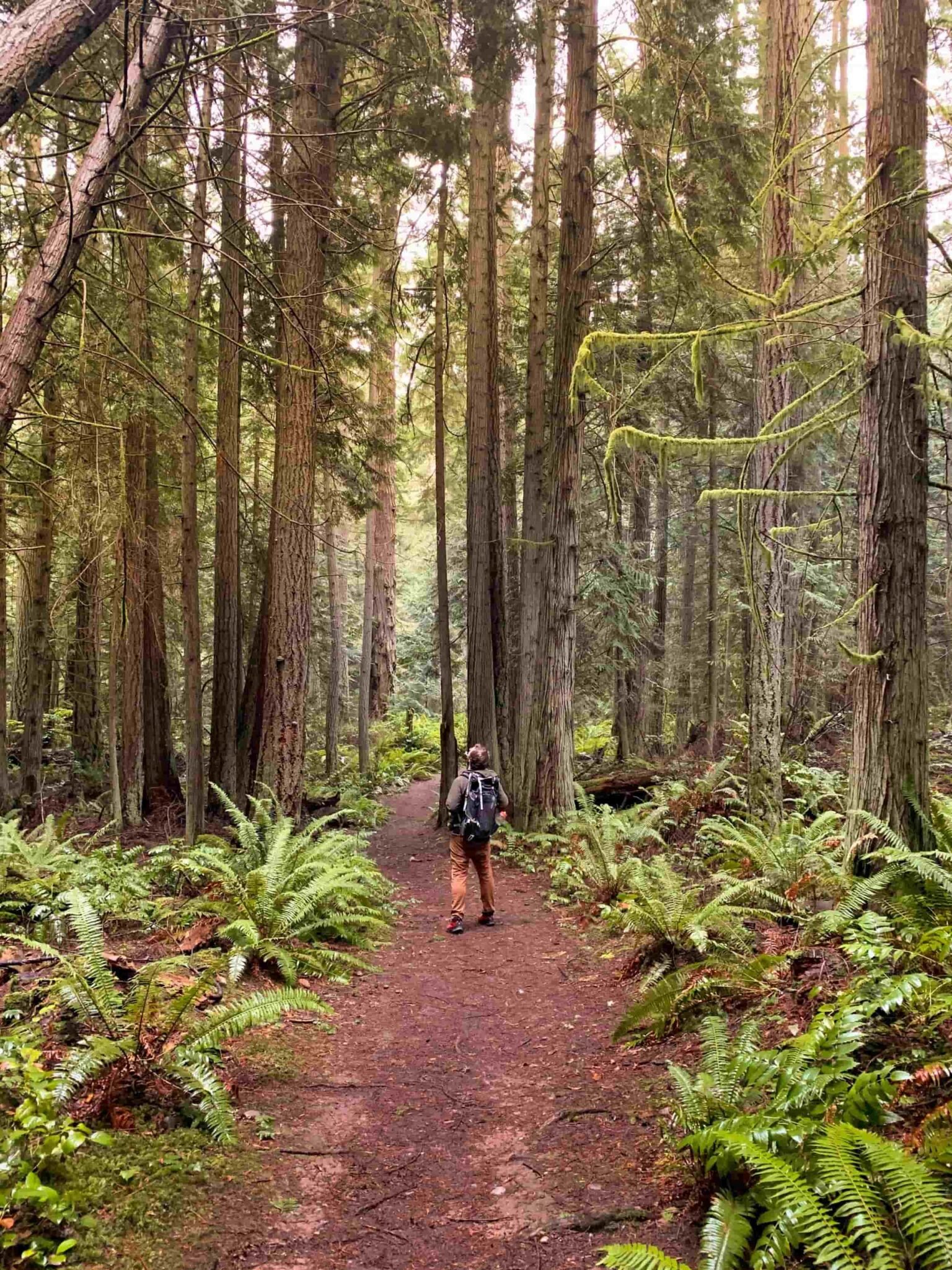 Olympic Peninsula Loop: 15 Stops along the Most Iconic Washington Road ...
