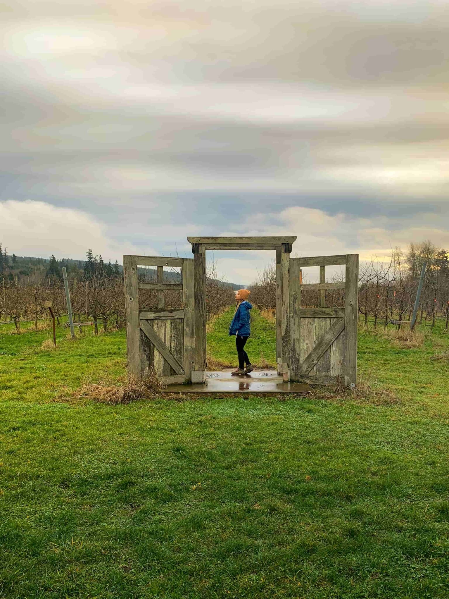 Olympic Peninsula Loop: 15 Stops along the Most Iconic Washington Road ...