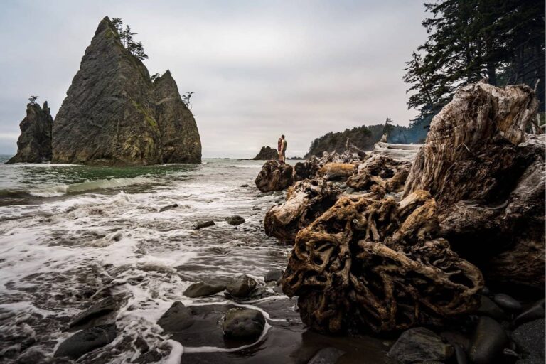 Olympic Peninsula Loop: 15 Stops along the Most Iconic Washington Road ...
